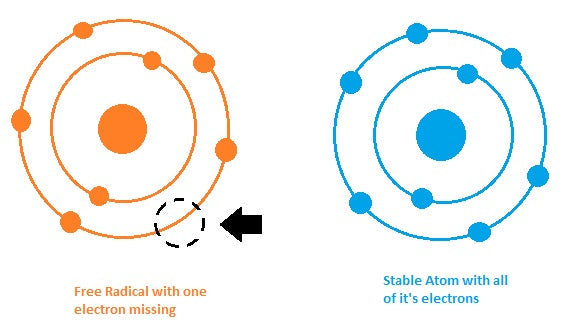 Free Radicals 101 – OptiHealth Products