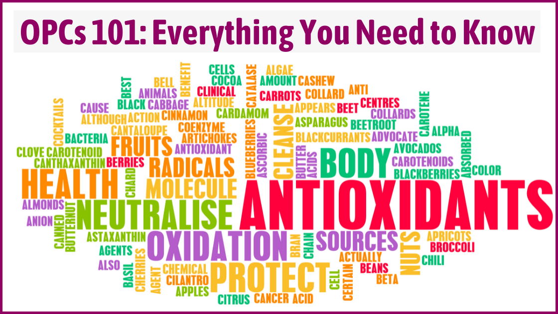 OPCs 101: Everything You Need to Know About These Powerful Antioxidant ...